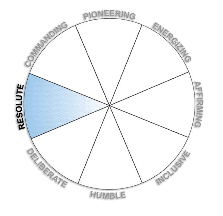 8 Dimensions of Leadership - Buy the book or take the free assessment