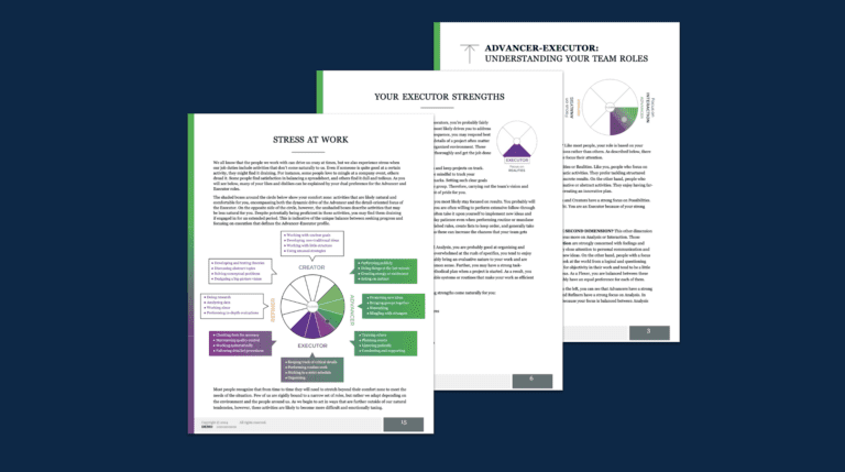 Purchase the Team Dimensions Assessment
