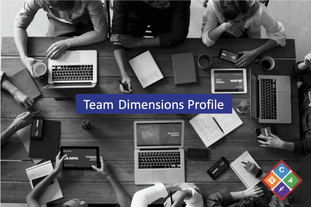 The Team Dimension Profile: Discover Your Work Role